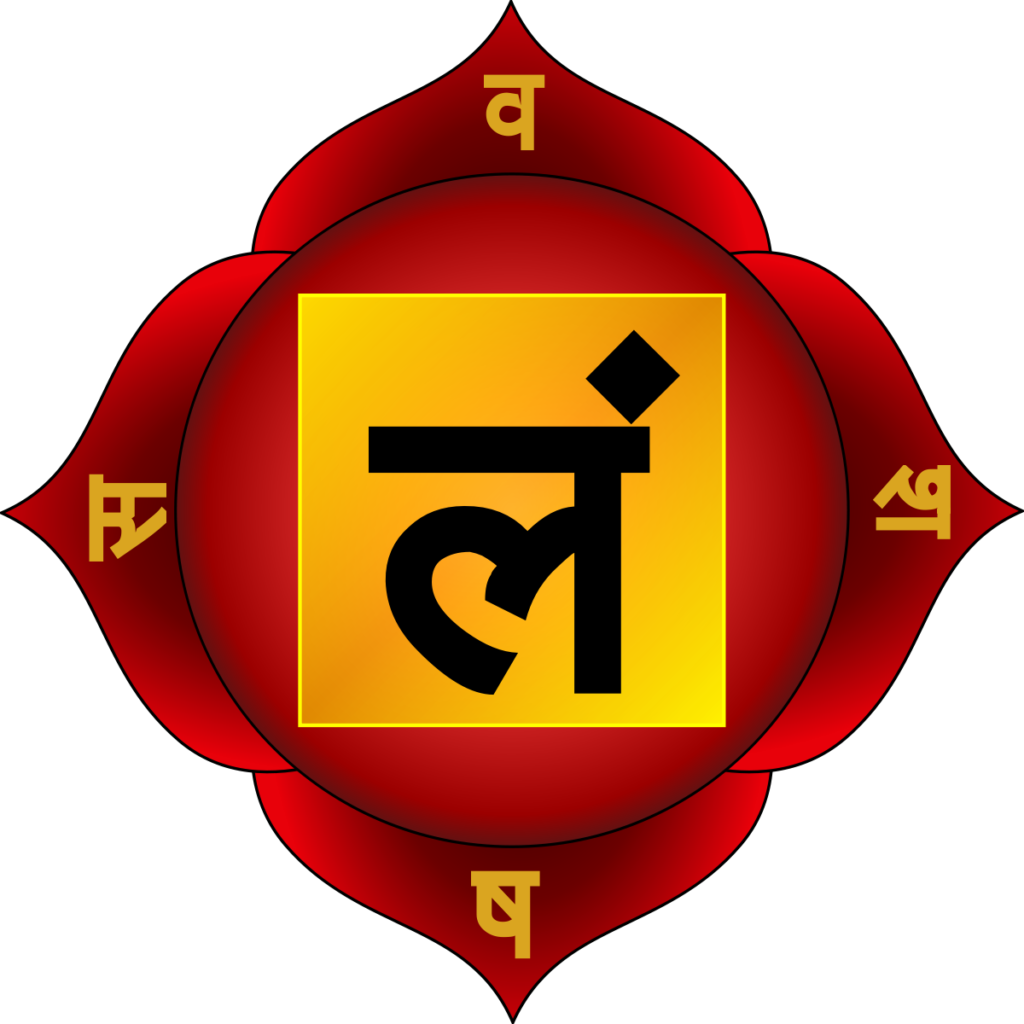 MULADHARA CHAKRA 1er CHAKRA | CHANDRA - YOGA